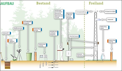 Front Page - AI4TREES